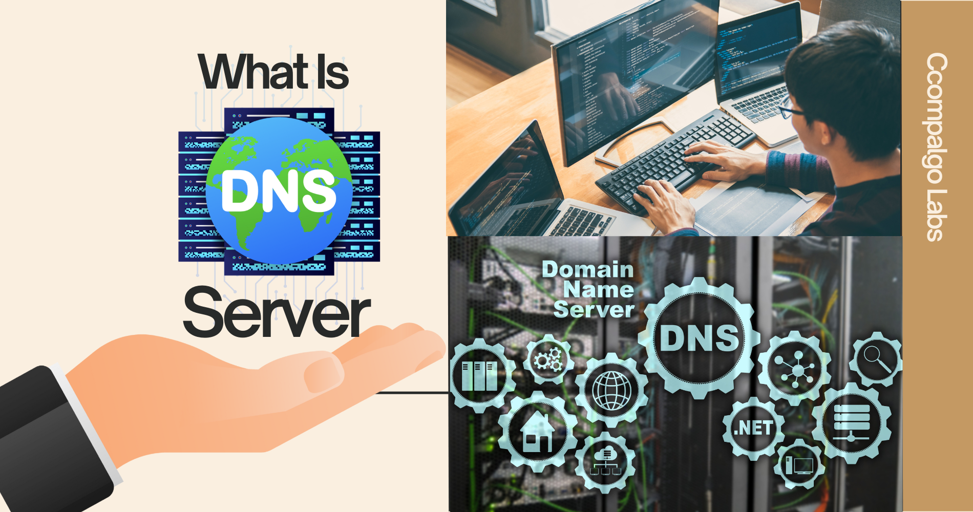 Understanding DNS Server: What it is and How it Works? • Compalgo Labs